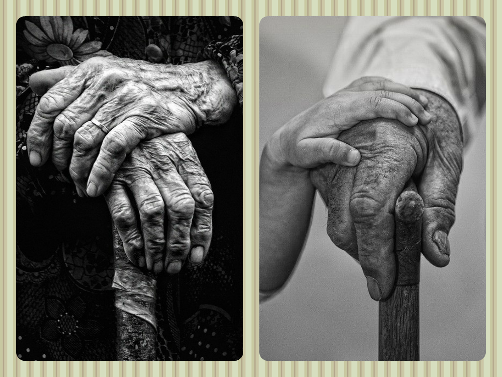 The Meaning of Hands – Gwen Tuinman